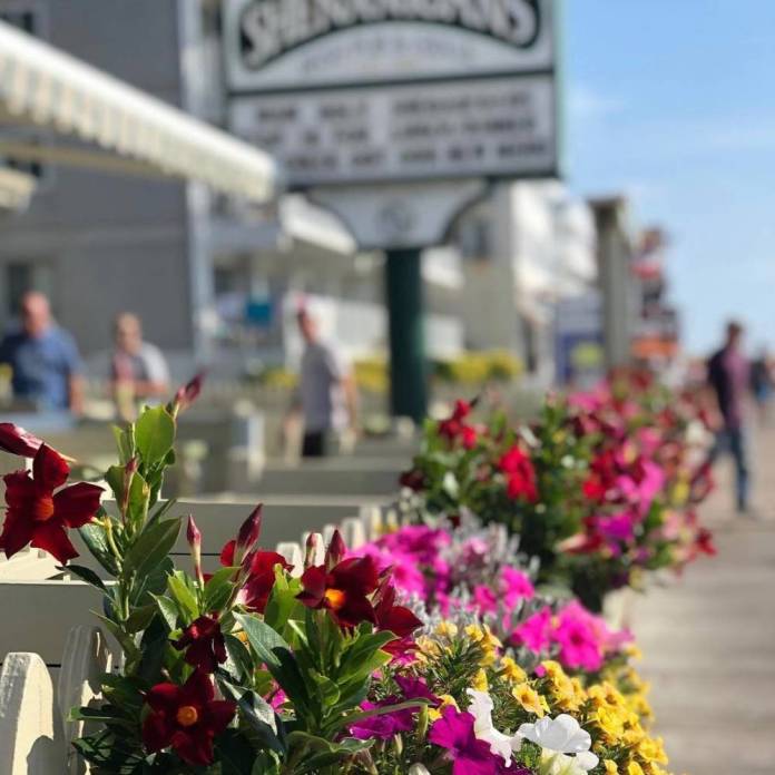 Shenanigans Irish Pub - Ocean City, MD