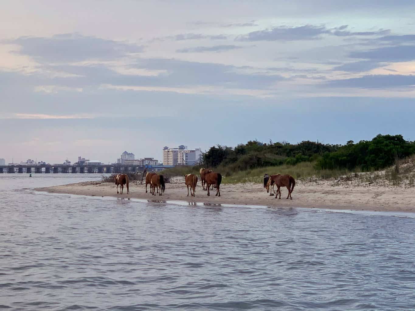 Experience Ocean City’s Shore Craft Beer Cruises Aboard the OC Bay ...