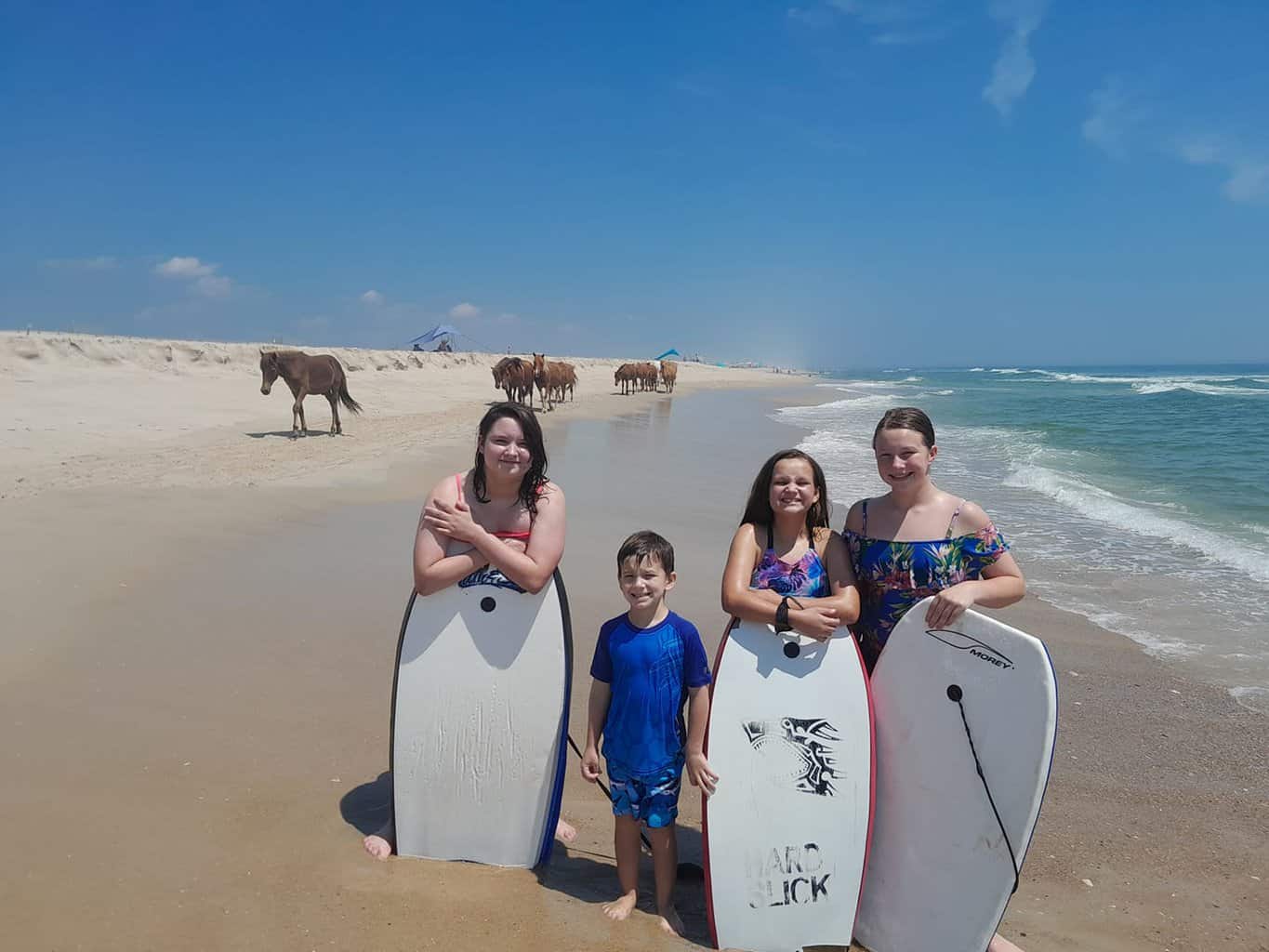 Photo Friday Contest Winner August 25th 2022 - OceanCity.com