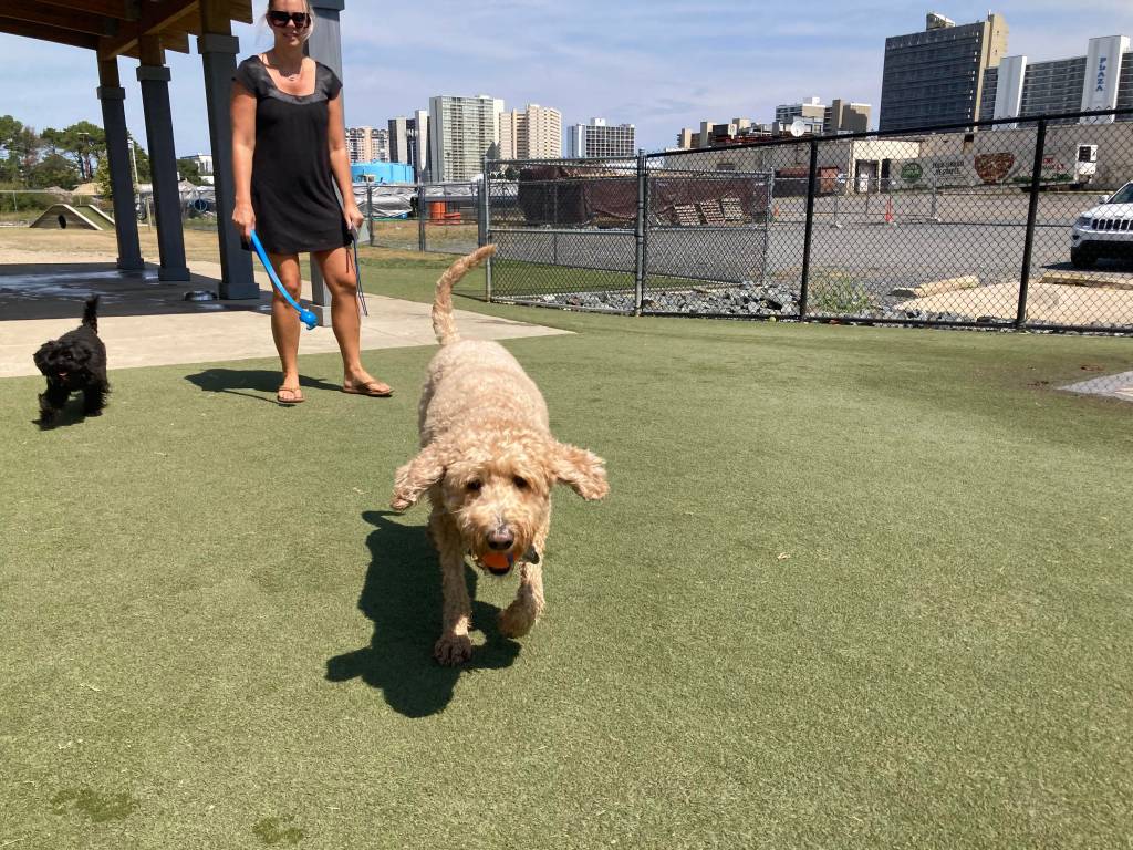 A Playground Tour of Ocean City, Maryland - OceanCity.com