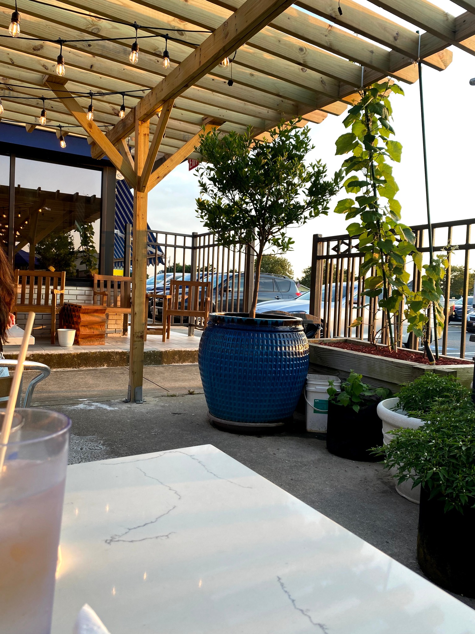 Blue Fish Restaurant and Sushi Bar - Ocean City, MD