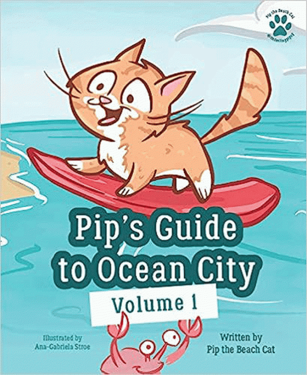 Must Read Books About Ocean City, Maryland That You Will Love ...