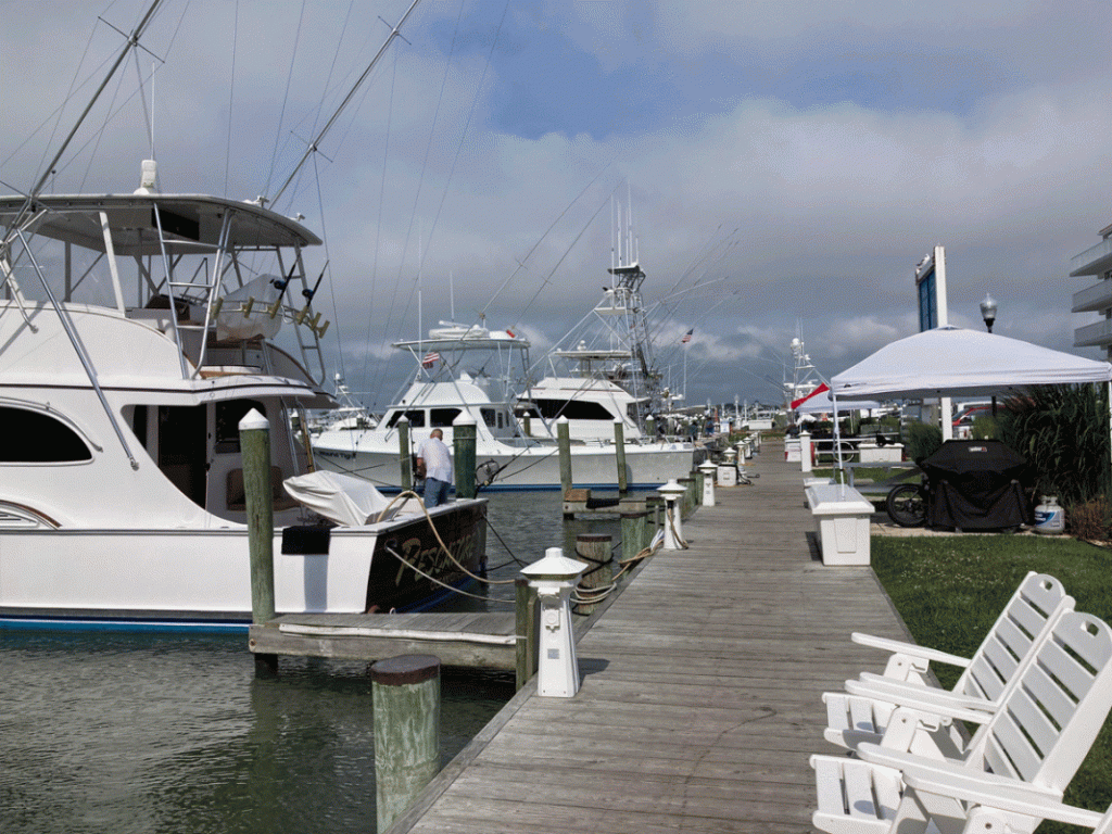 The White Marlin Open: Gearing Up for it’s 51st Year of Fishing ...