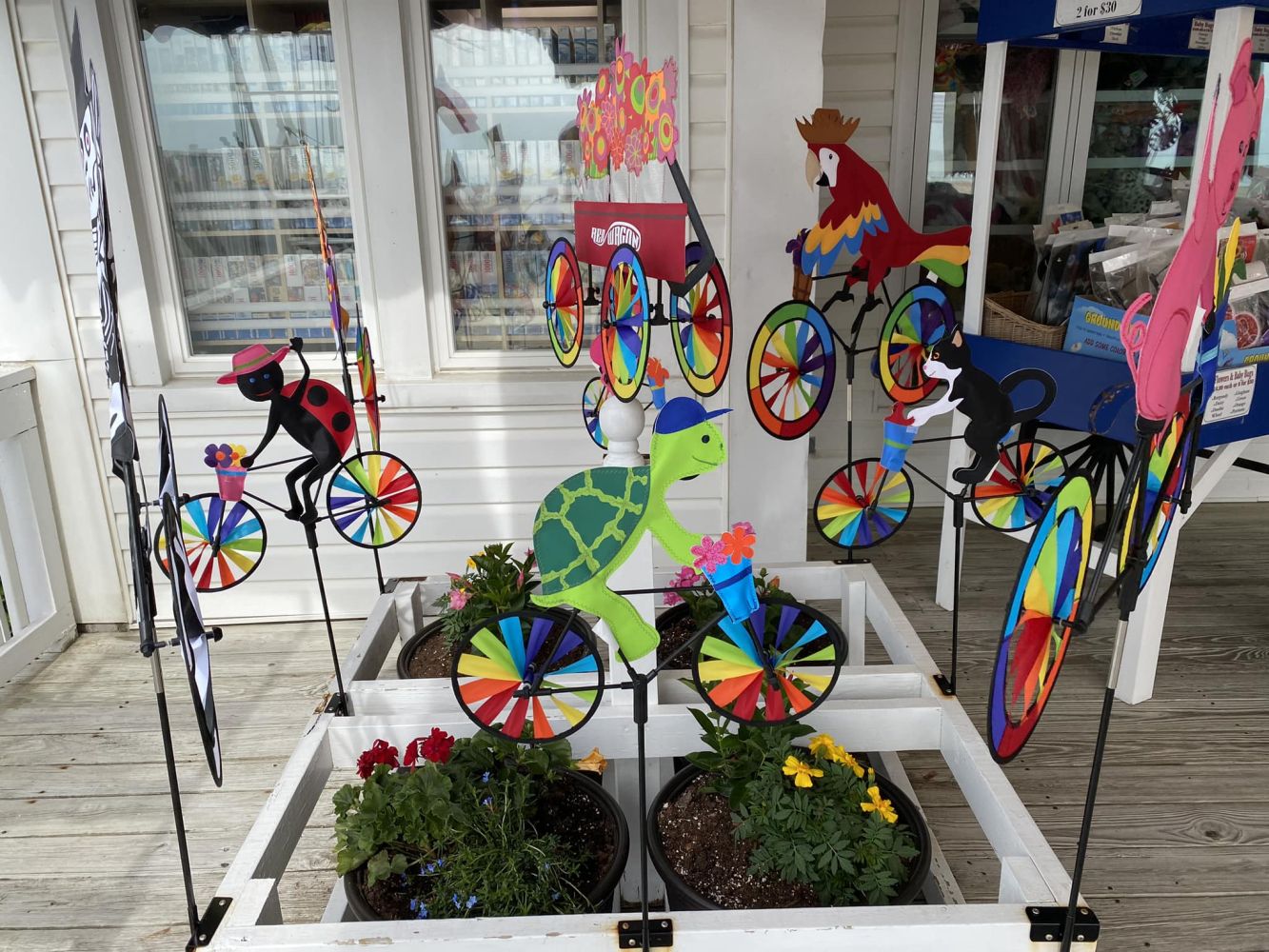 The Kite Loft - OceanCity.com