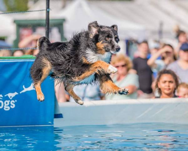 Sunfest 2024 in Ocean City MD - OceanCity.com
