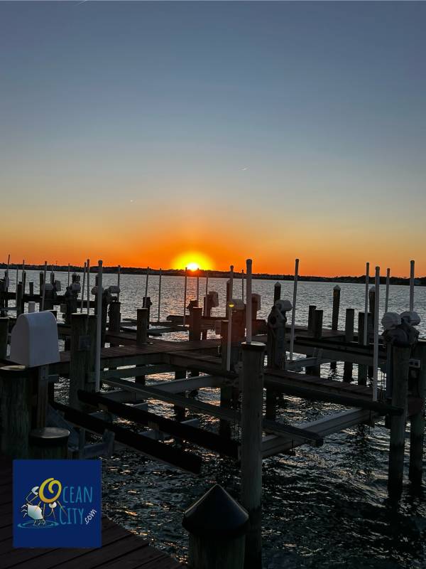 OCEAN CITY PICTURES THIS WEEK - OceanCity.com