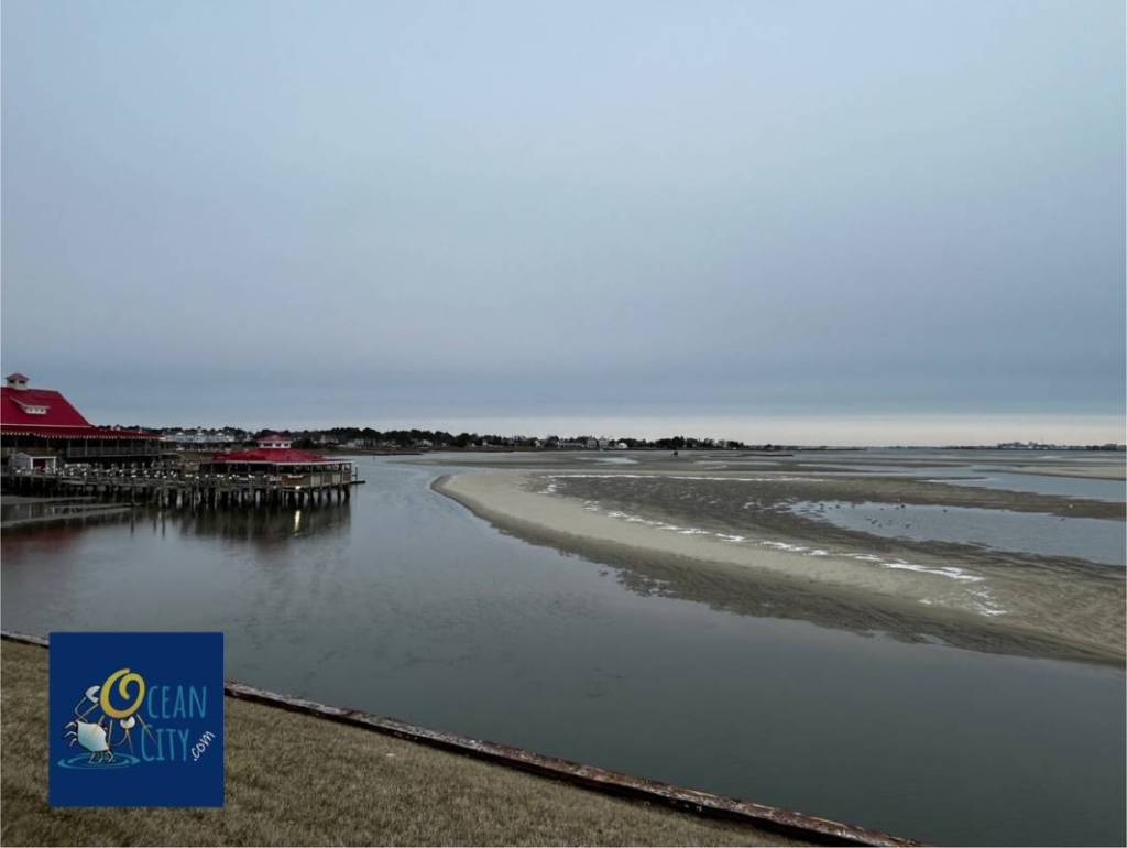 THIS WEEK IN PICTURES IN OCEAN CITY - OceanCity.com