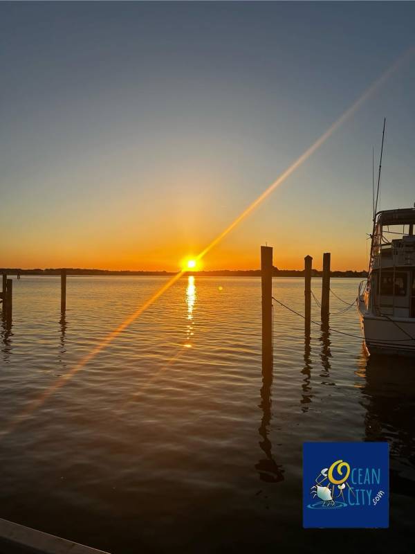 A WEEK IN REVIEW OF OCEAN CITY PICTURES - OceanCity.com