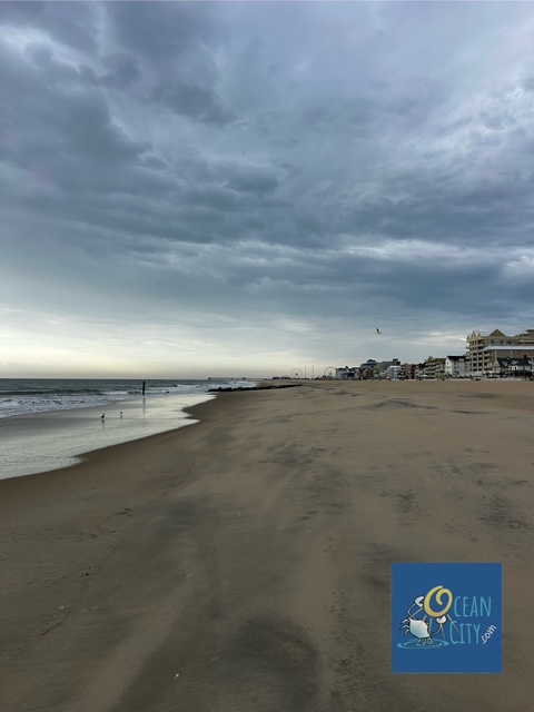 THIS PAST WEEK IN PICTURES OF OCEAN CITY - OceanCity.com