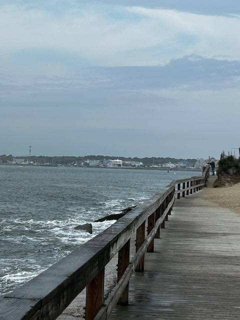 THIS PAST WEEK IN PICTURES OF OCEAN CITY - OceanCity.com