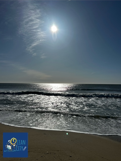 THIS PAST WEEK IN PICTURES OF OCEAN CITY - OceanCity.com