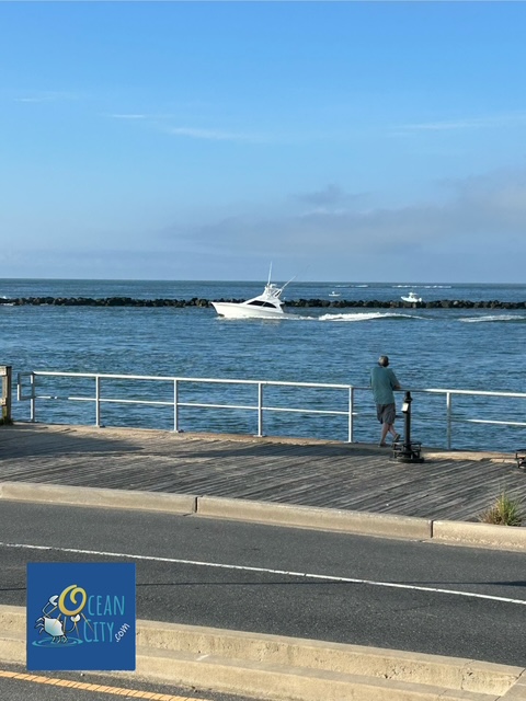 THIS PAST WEEK IN PICTURES OF OCEAN CITY - OceanCity.com