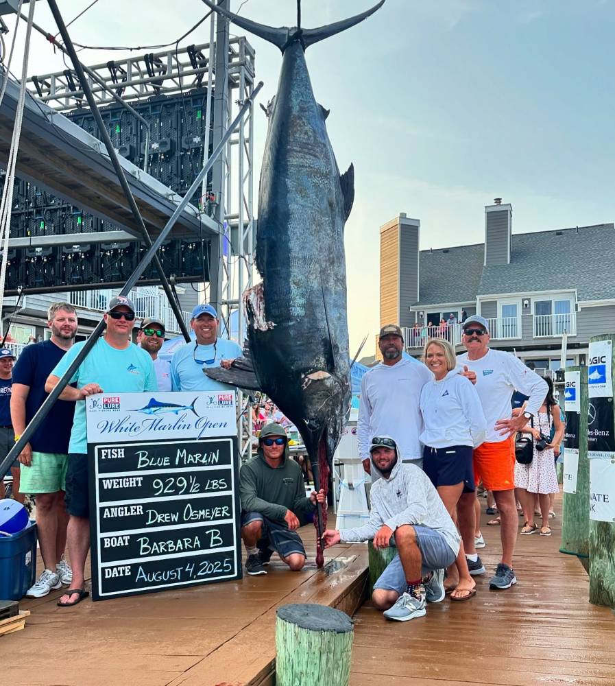 2025 White Marlin Open - OceanCity.com