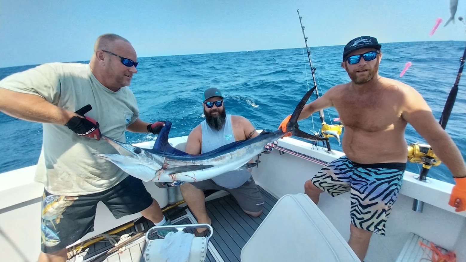 White Marlin vs. Roundscale Spearfish: A Tale of Two Fish at the White ...